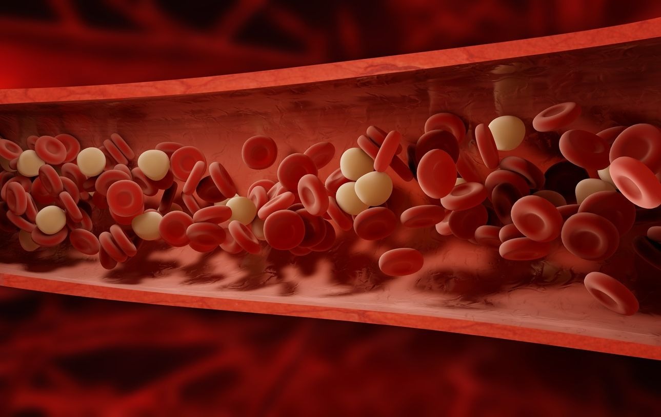 Globules blancs bas à cause du stress : quelle solution